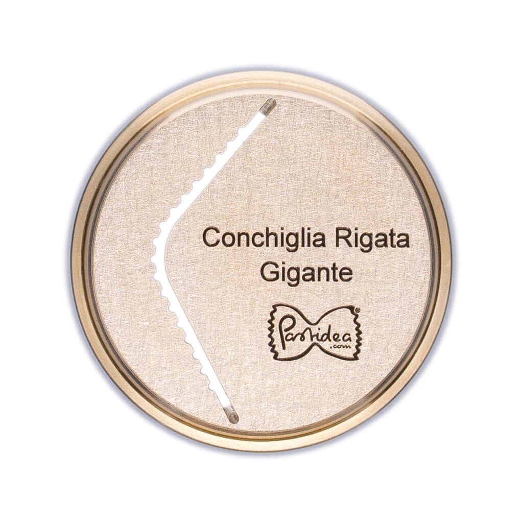 Screen Conchiglia Rigata Gigante